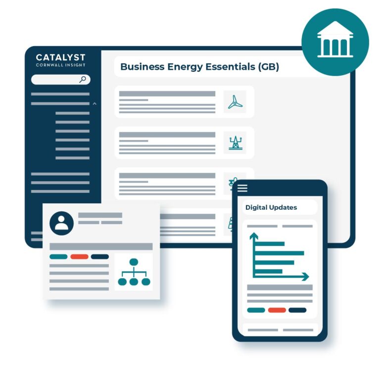 Our Services | What is REMA? | Cornwall Insight